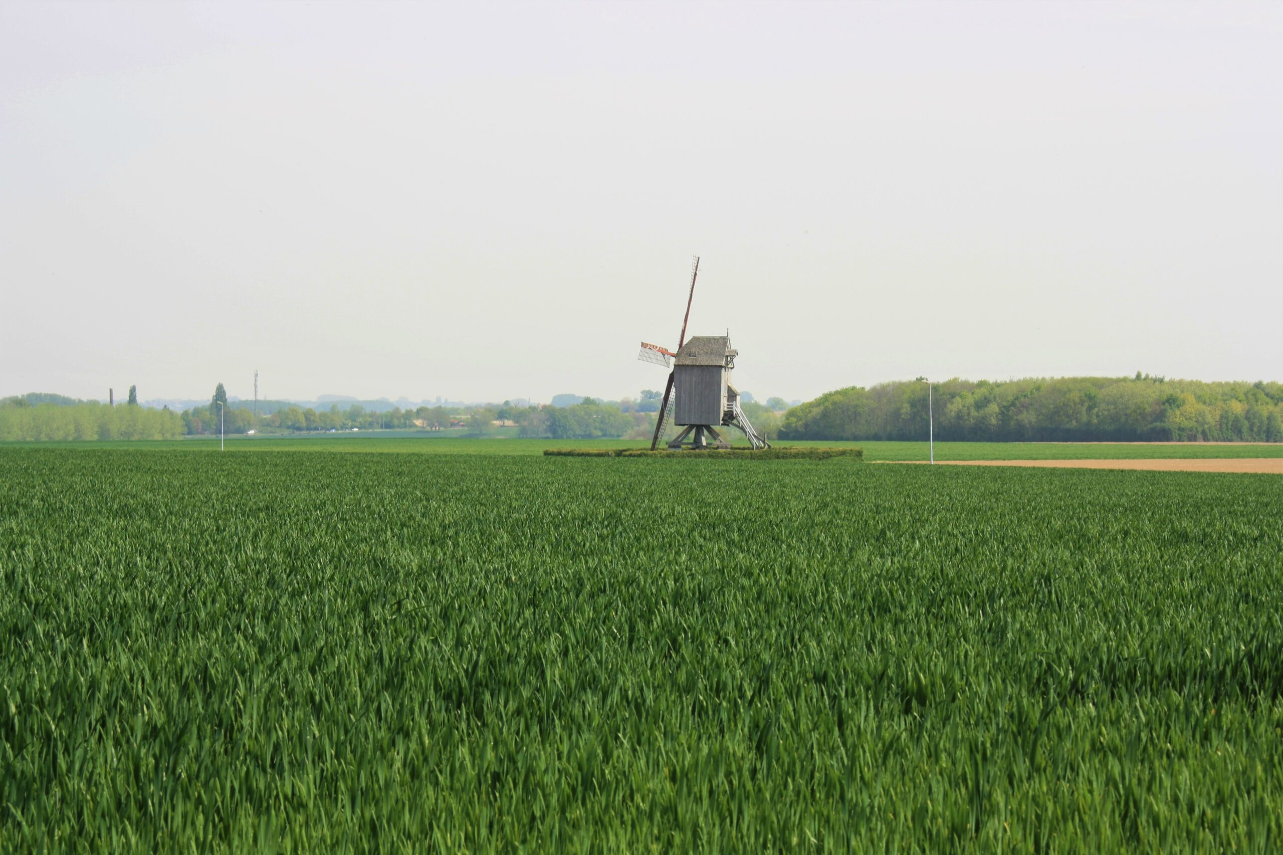 Cultureel erfgoed - Zwalmstreek
