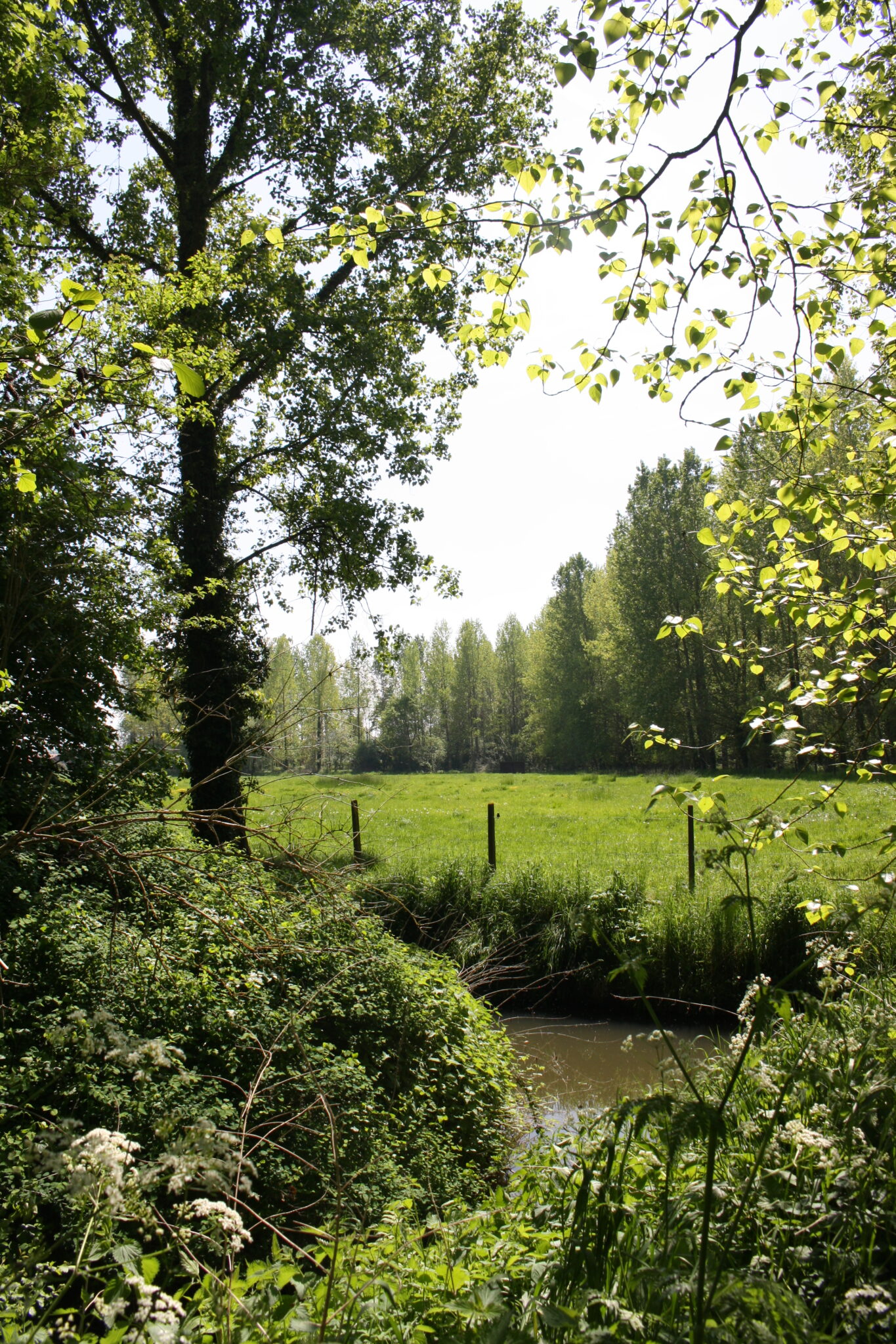 Gourmand wandelroute - Zwalmstreek